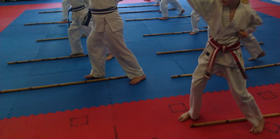 Easy Way to Correct Karate Stances – KarateTeaching